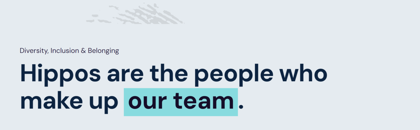 Inclusive Hiring: The Hippo Digital Success Story | Diverse Workforce